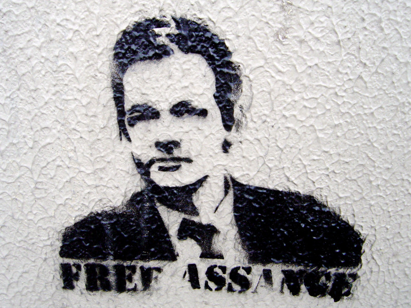campaigning_material_diy_projects [Free Assange!]